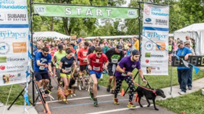 Fundraising events that generate the most revenue for nonprofits